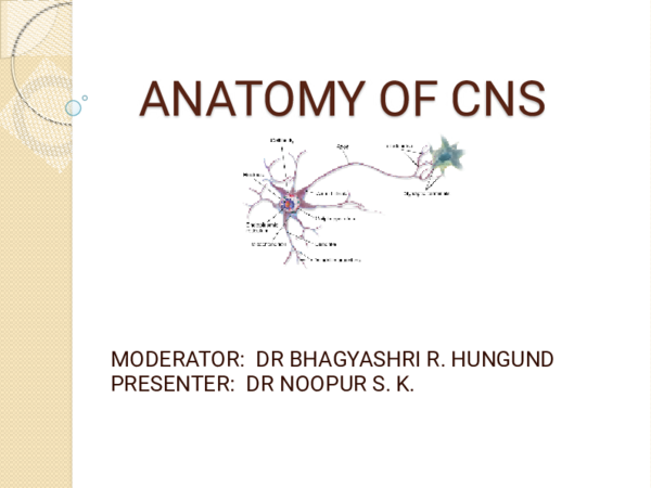 (PDF) CNS ANATOMY