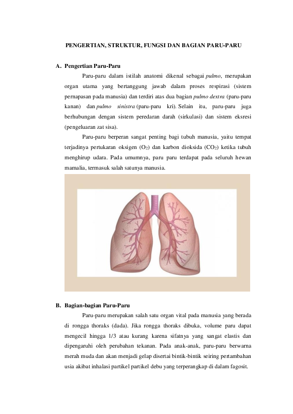 (DOC) PENGERTIAN PARU-PARU