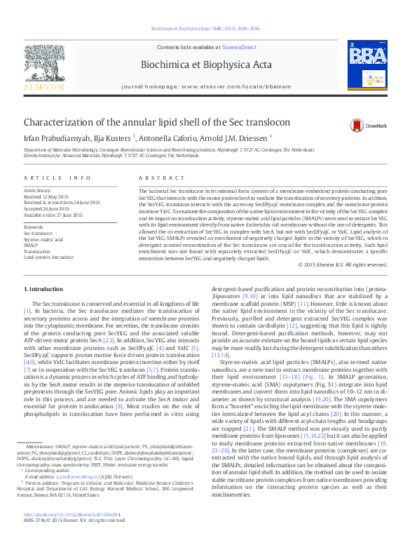 (PDF) Characterization of the annular lipid shell of the Sec translocon