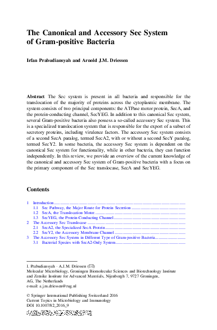 (PDF) The Canonical and Accessory Sec System of Gram-positive Bacteria