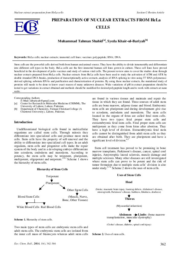 (PDF) Nuclear extract preparation from HeLa cells Section C-Review ...