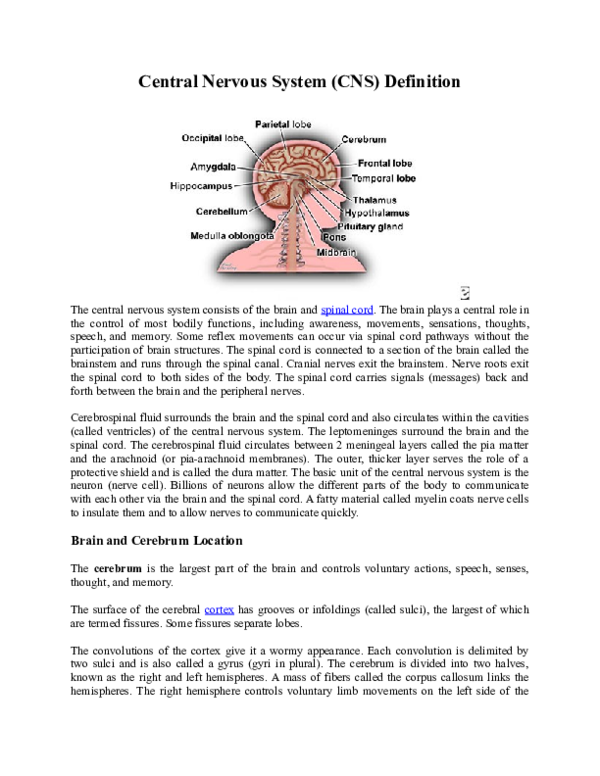 (DOC) Central Nervous System (CNS) Definition
