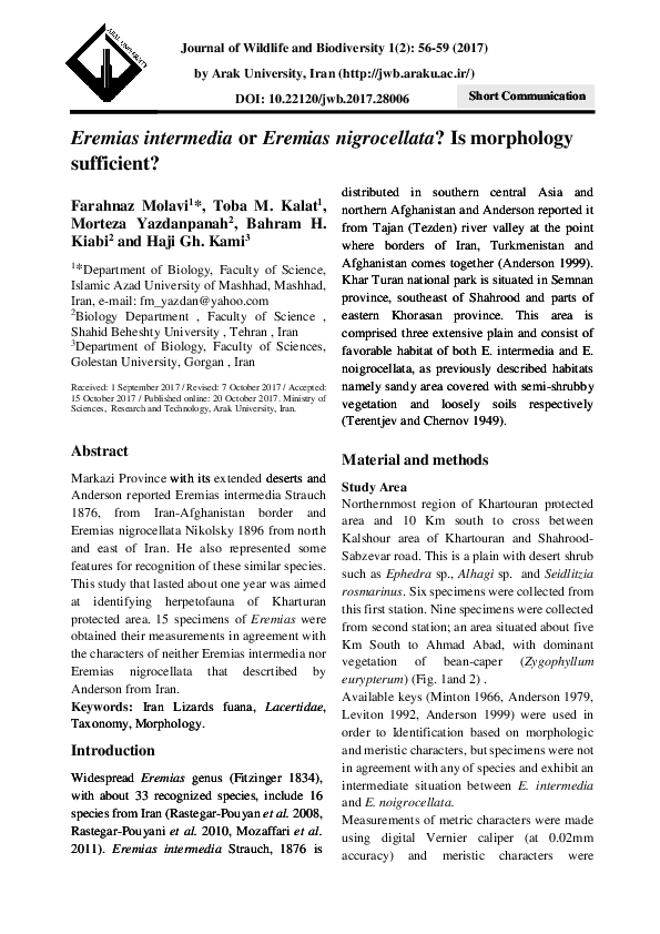(PDF) Eremias intermedia or Eremias nigrocellata? Is morphology sufficient
