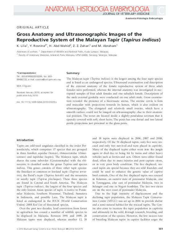 (PDF) Gross Anatomy and Ultrasonographic Images of the Reproductive ...