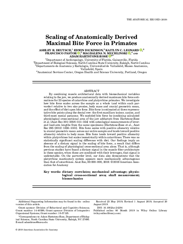 (PDF) Scaling of Anatomically Derived Maximal Bite Force in Primates ...