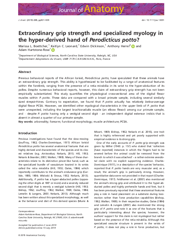 (PDF) Extraordinary grip strength and specialized myology in the hyper ...