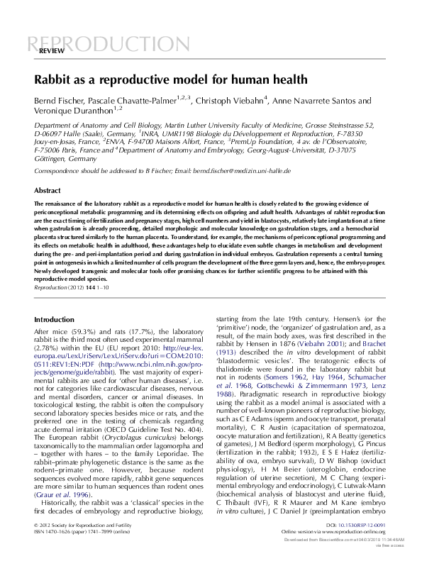 (PDF) REPRODUCTION REVIEW Rabbit as a reproductive model for human health