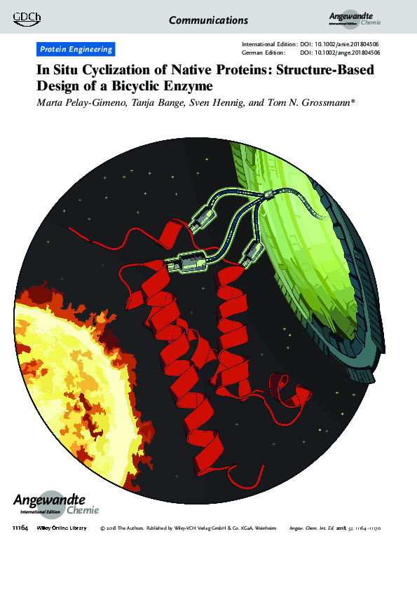 (PDF) In Situ Cyclization of Native Proteins: Structure-Based Design of ...