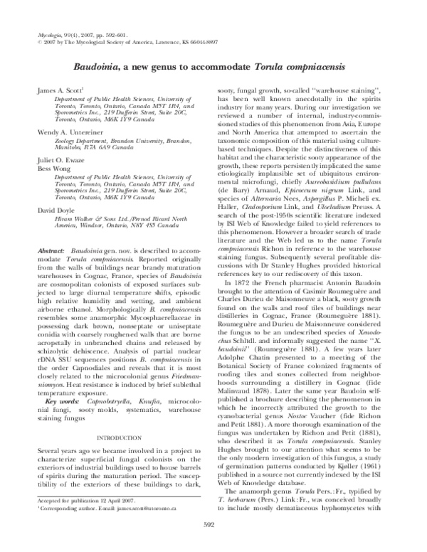 (PDF) Baudoinia, a new genus to accommodate Torula compniacensis
