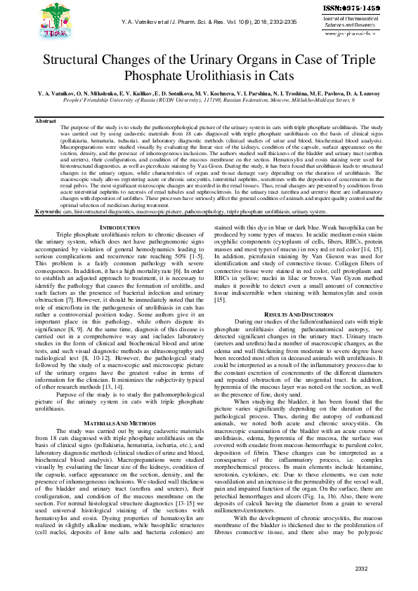 (PDF) Structural Changes of the Urinary Organs in Case of Triple ...