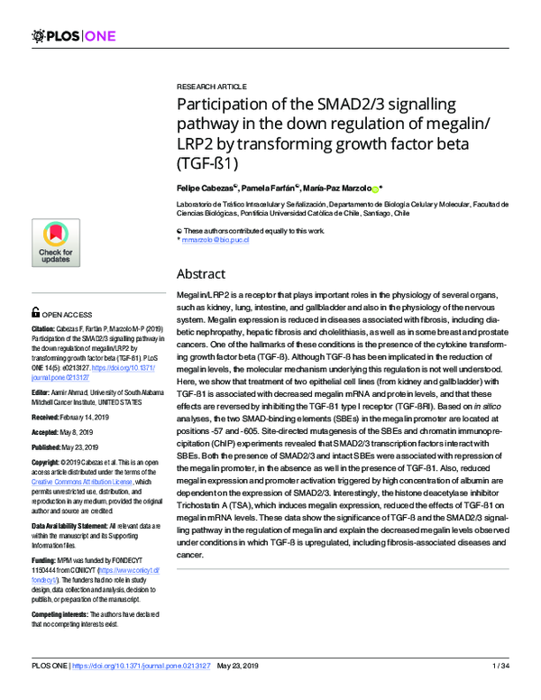 (PDF) Participation of the SMAD2/3 signalling pathway in the down ...