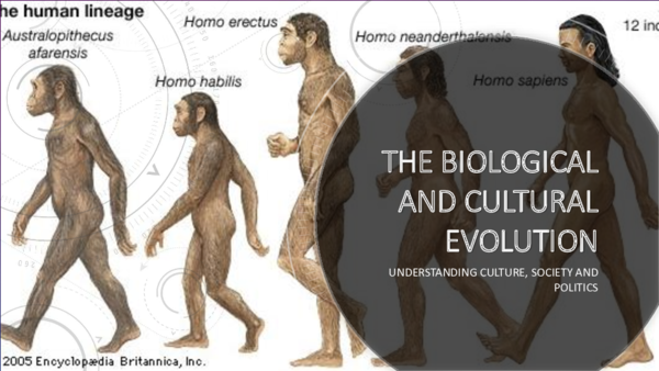 (PDF) THE BIOLOGICAL AND CULTURAL EVOLUTION UNDERSTANDING CULTURE, SOCIETY AND POLITICS