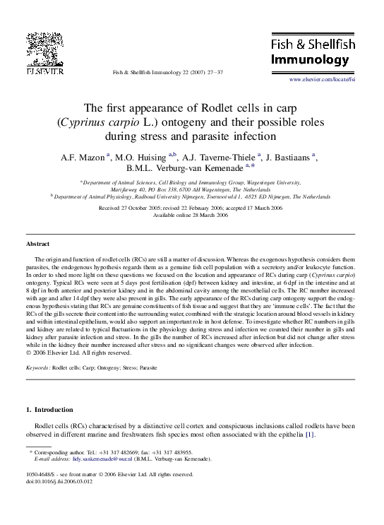 (PDF) First appearance of Rodlet cells in carp (Cyprinus carpio ...