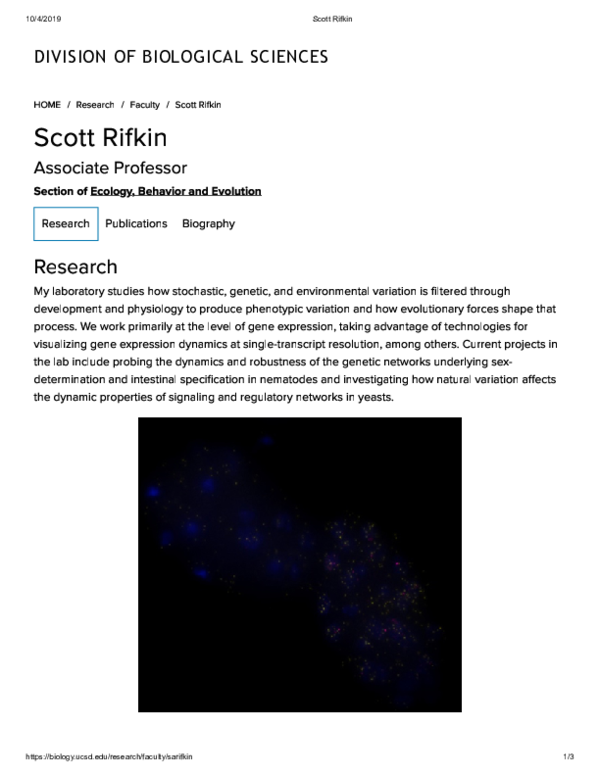 (PDF) Scott Rifkin