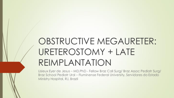 (PDF) OBSTRUCTIVE MEGAURETER: URETEROSTOMY + LATE REIMPLANTATION