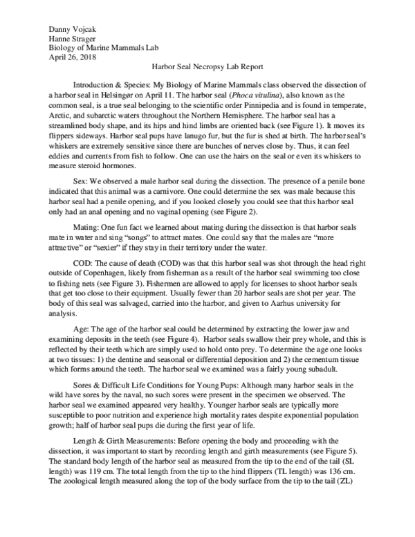 (DOC) Harbor Seal Necropsy Lab Report