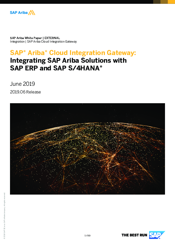 (PDF) SAP® Ariba® Cloud Integration Gateway: Integrating SAP Ariba ...