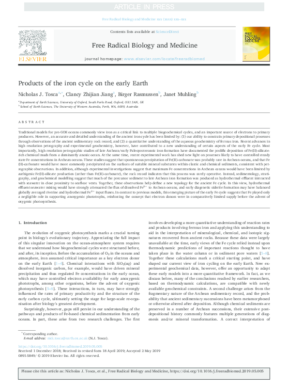 (PDF) Products of the iron cycle on the early Earth