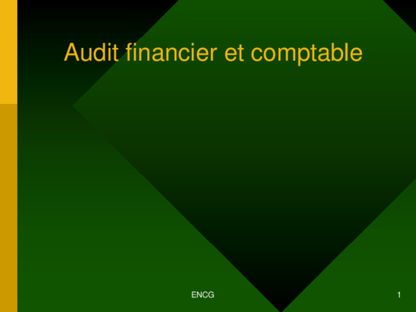 (PDF) Audit financier et comptable