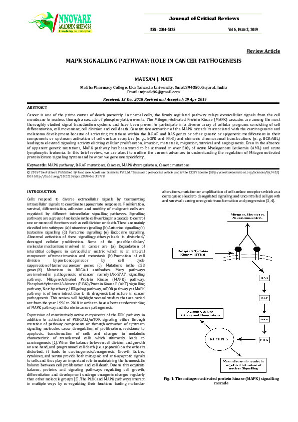 (PDF) MAPK SIGNALLING PATHWAY: ROLE IN CANCER PATHOGENESIS (PDF) MAPK SIGNALLING PATHWAY: ROLE IN CANCER PATHOGENESIS