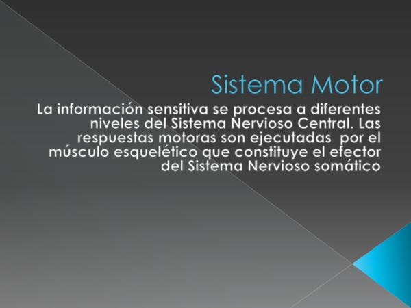 (PPT) Sistema Motor