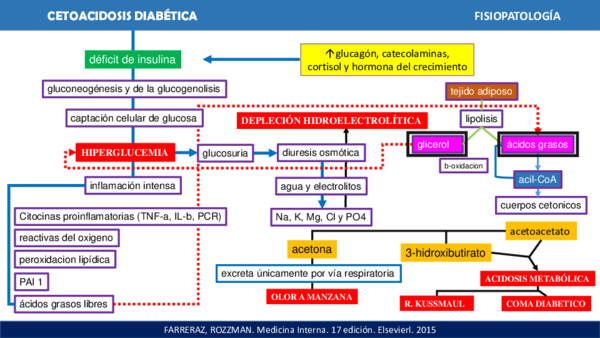 Cetoacidosis Diabetica