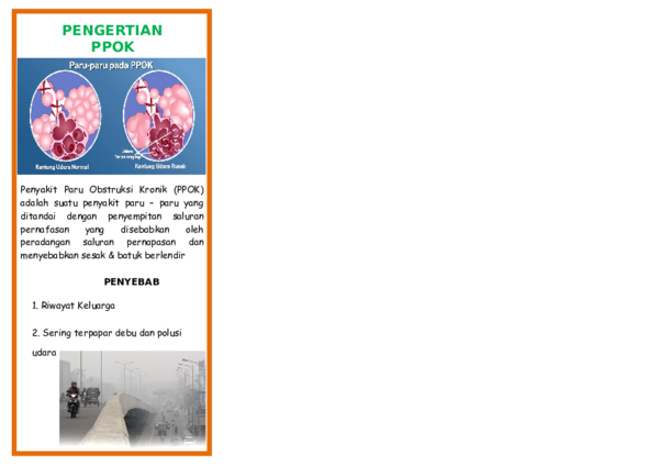 (DOC) LEAFLET PPOK WARNA