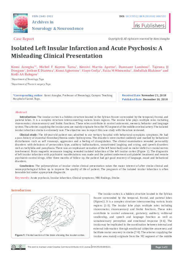 (PDF) Isolated Left Insular Infarction and Acute Psychosis: A ...