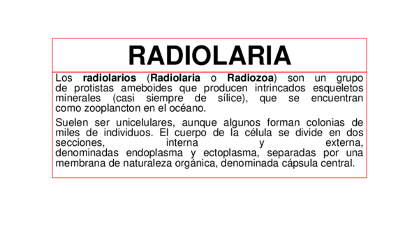 (PPT) RADIOLARIA