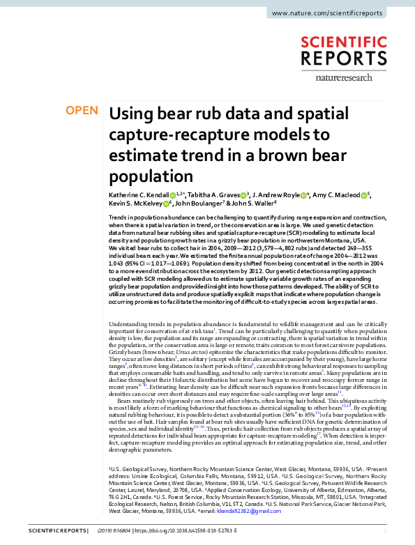 Pdf Using Bear Rub Data And Spatial Capture Recapture Models To Estimate Trend In A Brown Bear