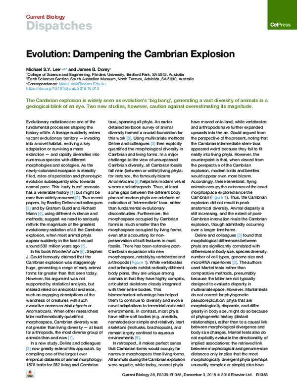 (PDF) Evolution: Dampening the Cambrian Explosion