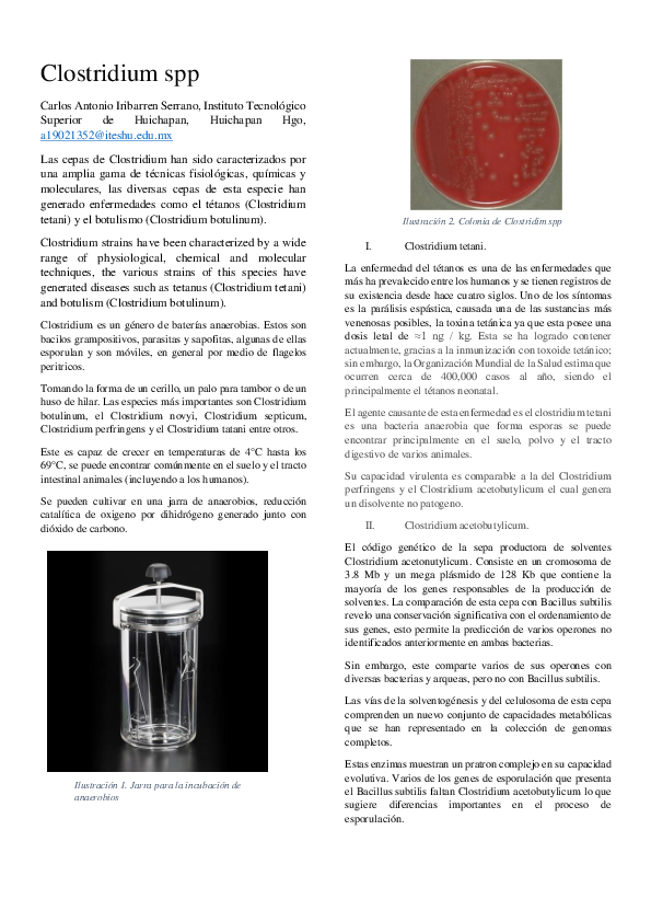 (PDF) Clostridium spp