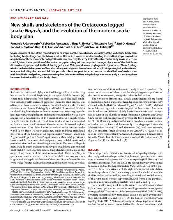 (PDF) New skulls and skeletons of the Cretaceous legged snake Najash ...
