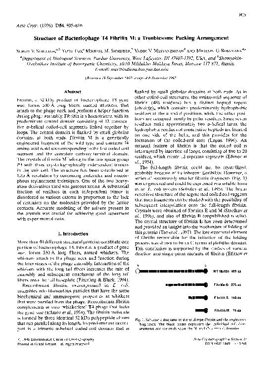 (PDF) Structure of Bacteriophage T4 Fibritin M: a Troublesome Packing ...