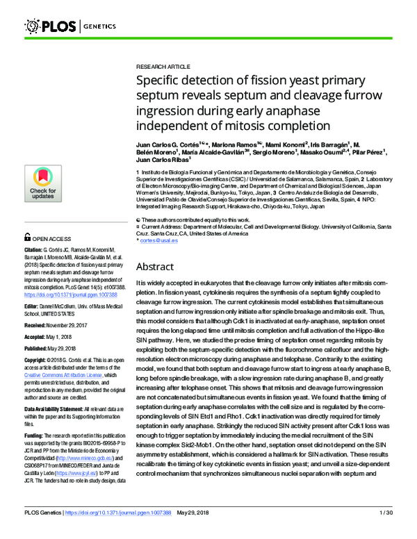 (PDF) Specific detection of fission yeast primary septum reveals septum ...