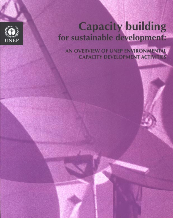 (PDF) UNEP -Capacity Building for Sustainable Development
