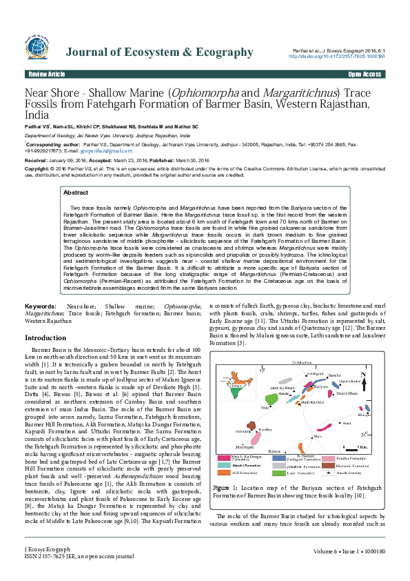 (PDF) Near Shore - Shallow Marine (Ophiomorpha and Margaritichnus ...