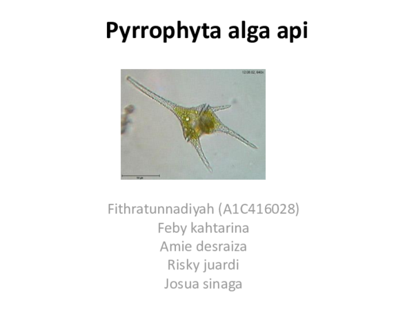 (PPT) Pyrrophyta alga api