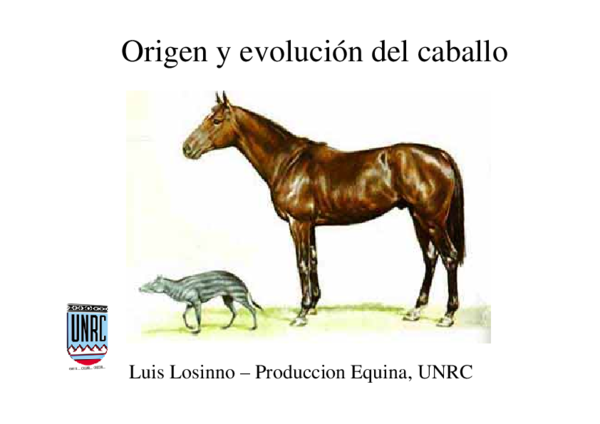 (PDF) Origen y evolución del caballo