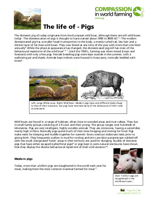 (PDF) The life of -Pigs