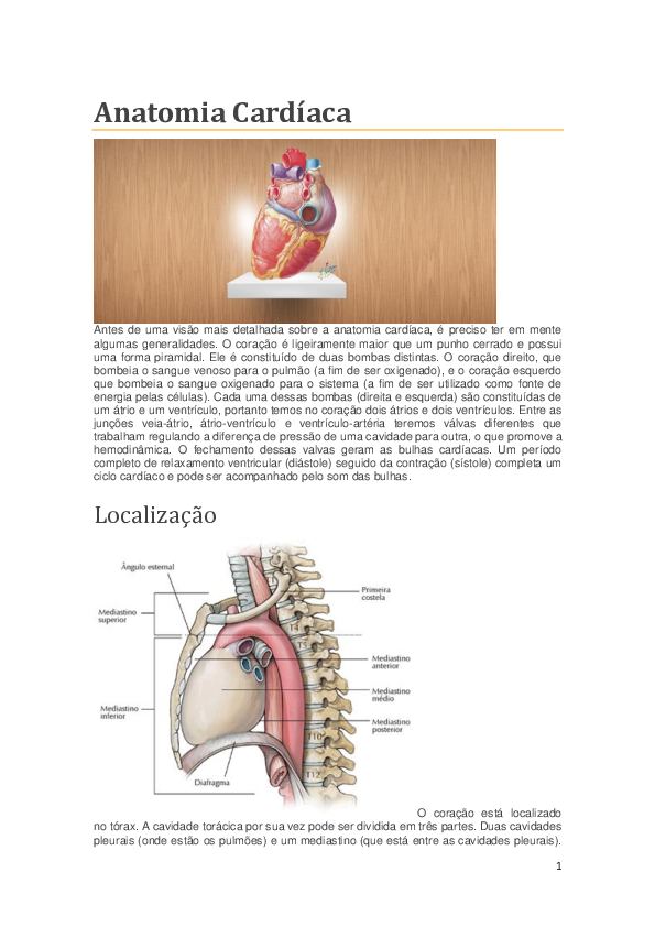 (DOC) Anatomia Cardíaca | Neil Fonseca - Academia.edu