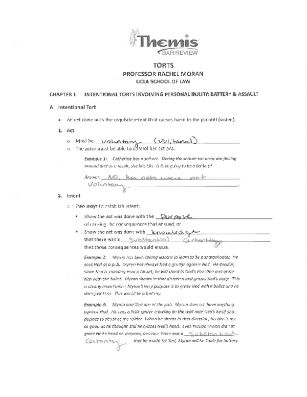 (PDF) Torts - Themis Handout (1)