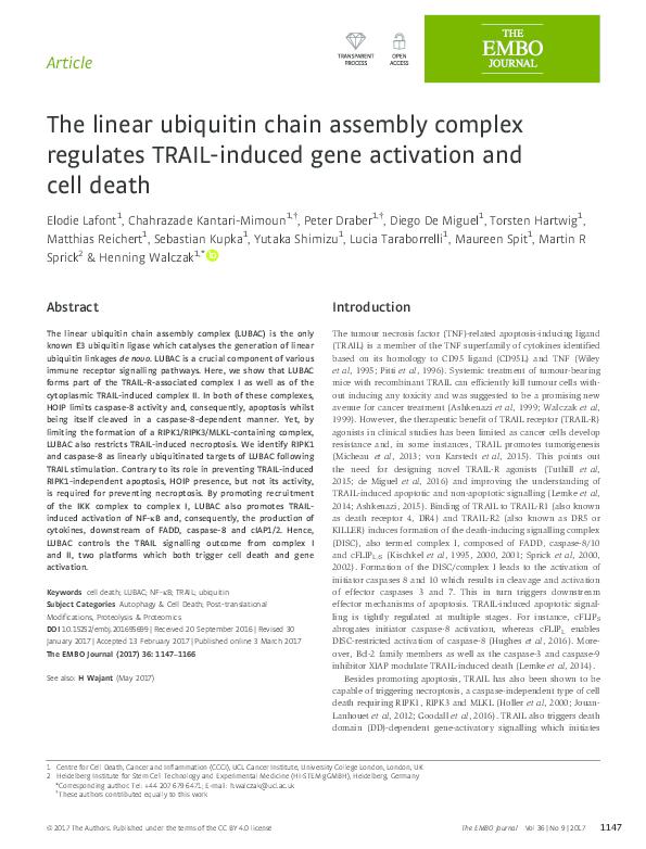 (PDF) The linear ubiquitin chain assembly complex regulates TRAIL ...