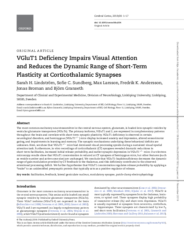 (PDF) VGluT1 Deficiency Impairs Visual Attention and Reduces the Dynamic Range of Short-Term ...