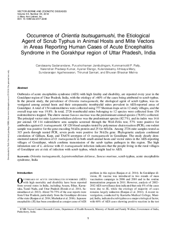 (PDF) Occurrence of Orientia tsutsugamushi, the Etiological Agent of ...