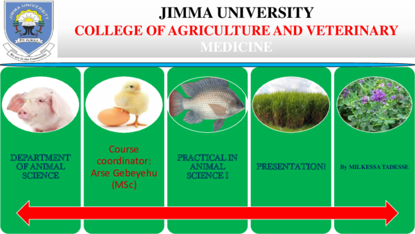 (PDF) Practical in Animal Science