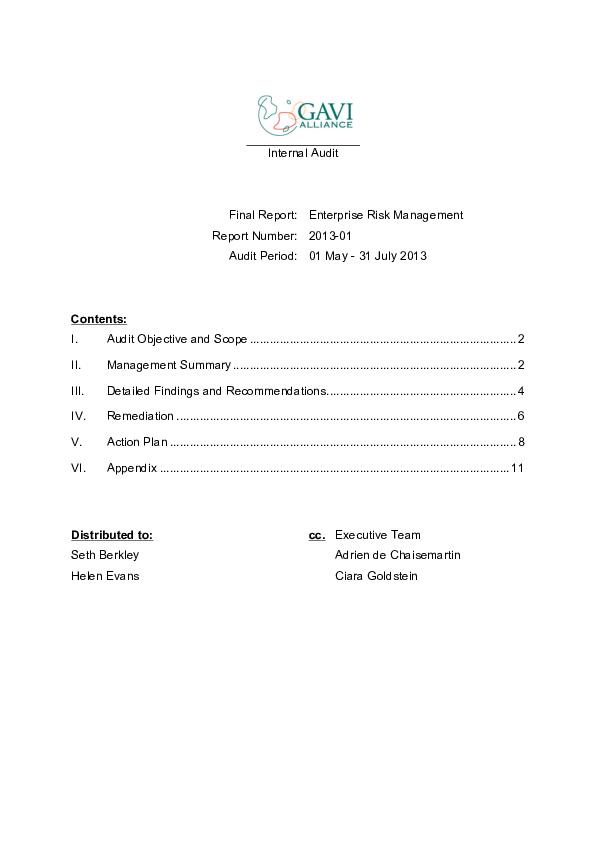 (PDF) Internal Audit Final Report: Enterprise Risk Management