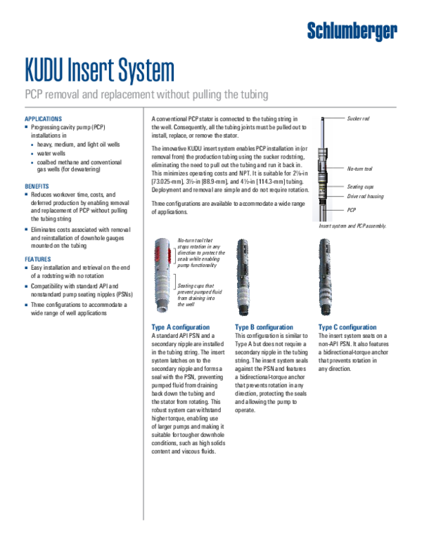(PDF) APPLICATIONS Progressing cavity pump (PCP) installations in KUDU ...