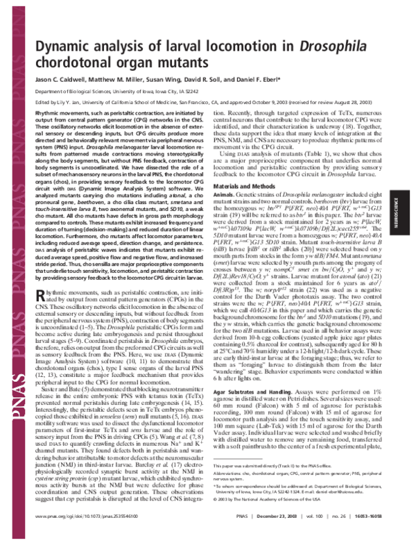 (PDF) Dynamic analysis of larval locomotion in Drosophila chordotonal ...