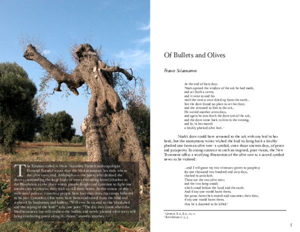 (PDF) Of Bullets and Olives